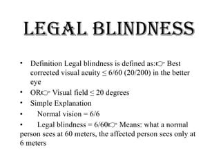 Understanding Legal Blindness Definition And Visual Criteria Explained