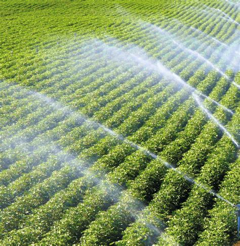 Irrigation System Around Durban At Alan Koester Blog