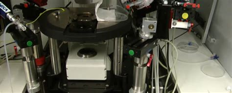 Patch Clamp Recording Protocol Creative Bioarray