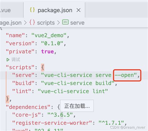 项目启动时自动打开浏览器 ——vue vs如何设置 web网页开发 如何设置 启动时自动打开网页 csdn博客