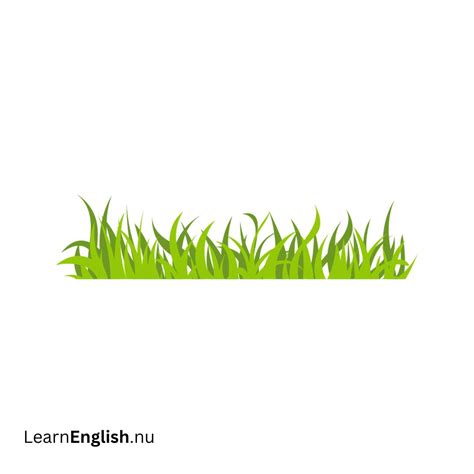 31 Plant Vocabulary In English With Picture Pronunciation Learn English