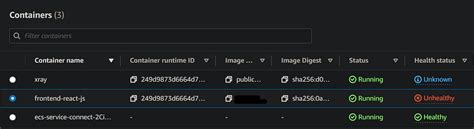 Week 6 Fargate — Troubleshooting Frontend Health Check 3 Aws Ecs Internal Check By Gwen