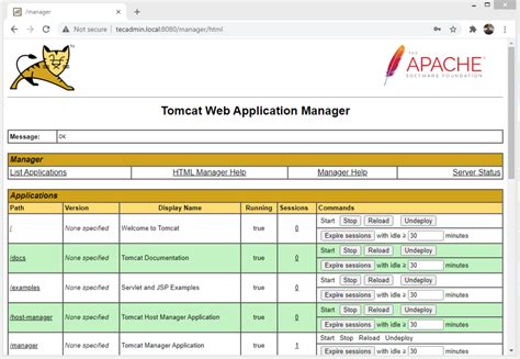 how to install tomcat 10 on ubuntu 20 04 tecadmin