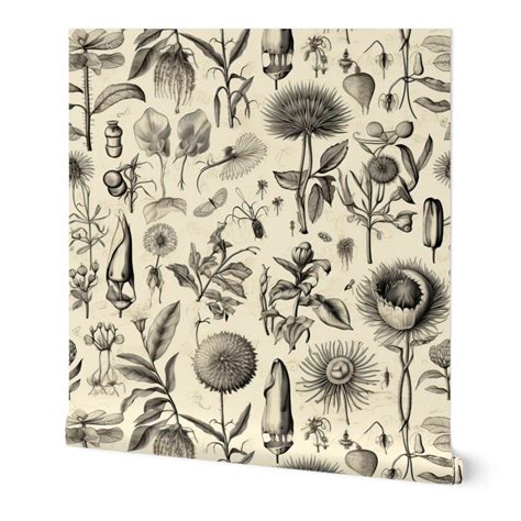 Vintage Botanical Wallpaper Spoonflower