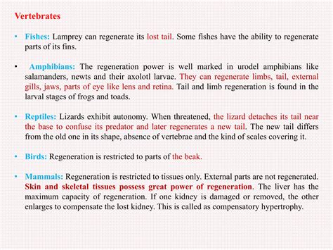 Regeneration Types Of Regenerationinvertebratesandvertebrates Sp