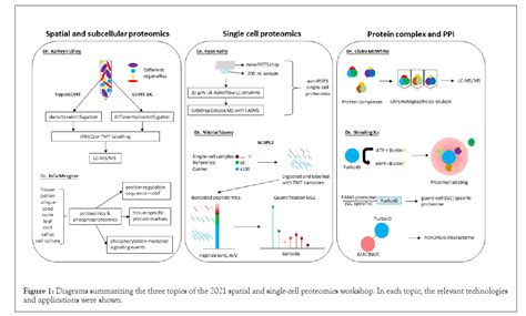 2021 Spatial And Single Cell Proteomics Workshop Report