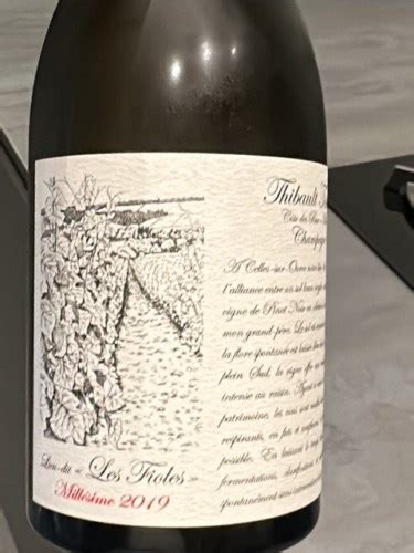 Thibault Tassin Lieu Dit Les Fioles Champagne Vivino Us