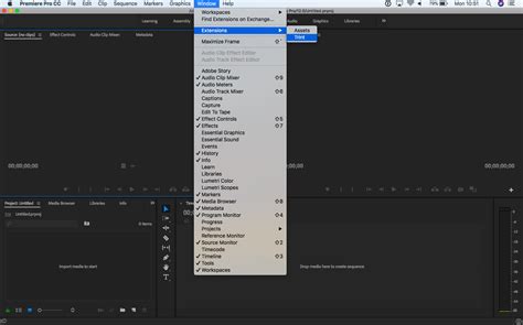 Adobe Premiere Plugin