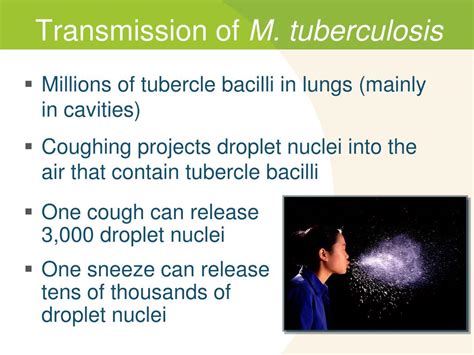 Ppt Tuberculosis Transmission And Pathogenesis Powerpoint