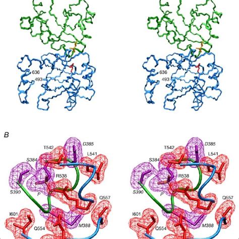 Solution Structure Of The Iia Mtl H554q Phospho Iib Mtl C384s