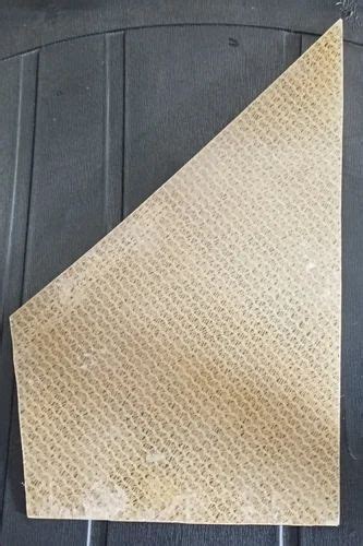 Ivory Brown Plain Fibre Sheet For Residential At ₹ 38sq Ft In Jaipur