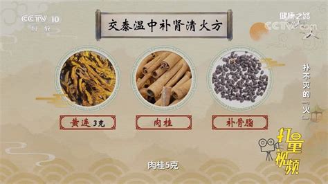 脾肾阳虚搜狗百科