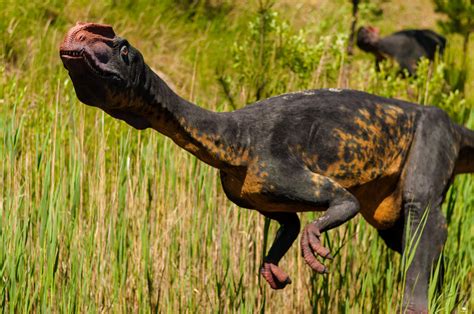 Abrictosaurus Hd Wallpapers