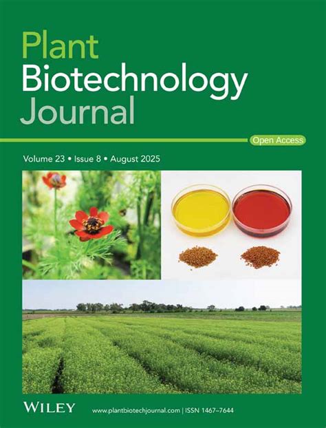 Poplar Sex‐determining Gene Directly Affects Tree Growth Through