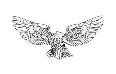 Attacking Eagle Stock Illustration Illustration Of Clipart 441439