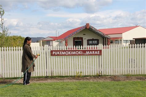 Maxine Boag Napier City Councillor The Garden At Pukemokimoki Marae