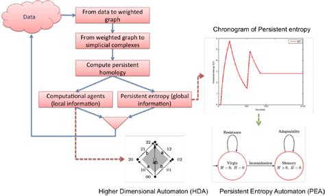 Graphical Representation Of Our Methodology Download Scientific Diagram