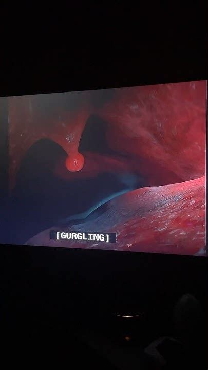 Finding Nemo Whale Uvula Youtube