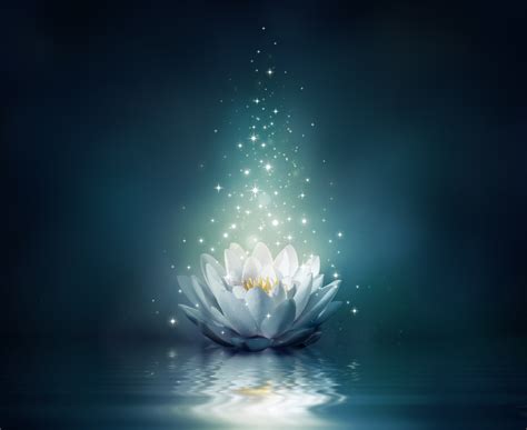 Radiant Water Lily A 4k Ultra Hd Artistic Wallpaper 6000x4900 Wallpaper Abyss