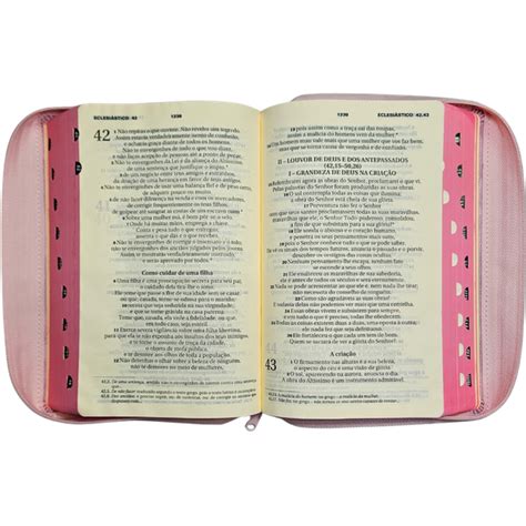 Bíblia Sagrada Ave Maria Letra Maior Com Zíper Strike Na Cor Rosa