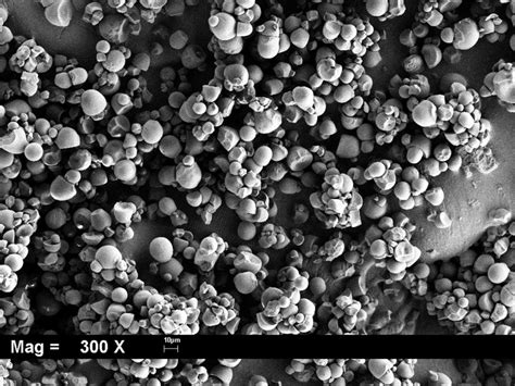 Sem Micrograph Of Tapioca Starch Granules At 300x Magnification Download Scientific Diagram