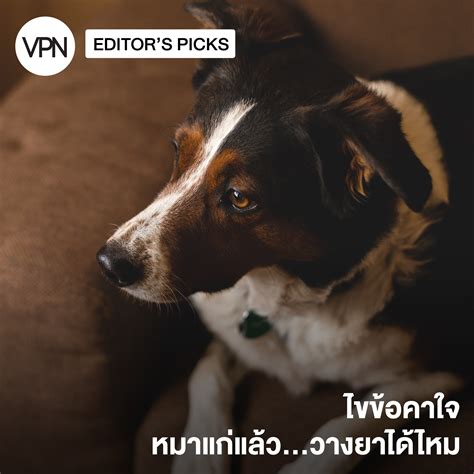 Vpn Magazine Vpn Editors Picks Facebook