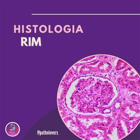 Histologia Patholovers