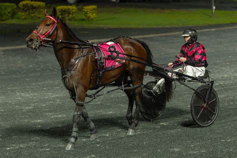 Lily Small Finds Her Captain Harnesslink