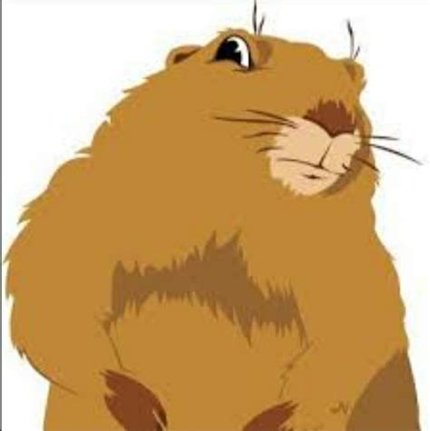 Dramatic Looking Gopher Is The Hottest Meme Rsouthpark