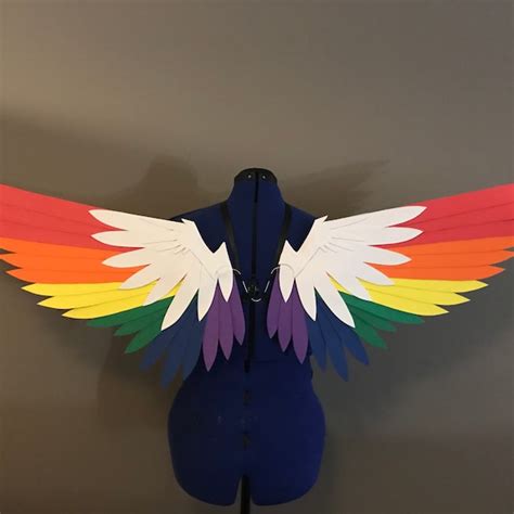 Rainbow Wings Adult Etsy