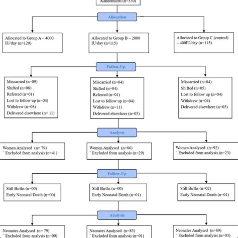 Consort Diagram Of Participant Enrolment Allocation Follow Up Visits Download Scientific