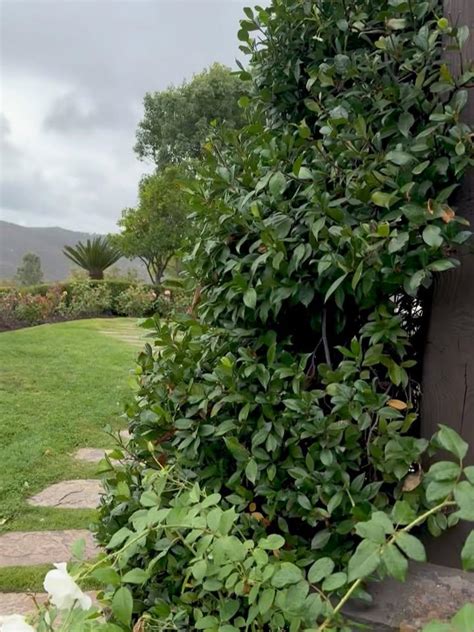 Anna Eckelman Anna Eckelman