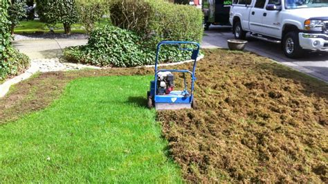 The Art Of Dethatching Ensuring Healthy Lawns Hemlock Landscapes