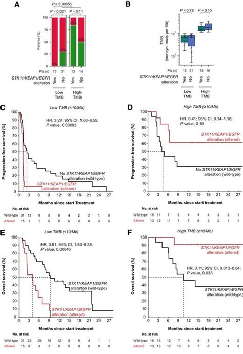 Combining Genomic Biomarkers To Guide Immunotherapy In Nonsmall Cell Lung Cancer Clinical