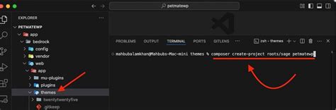 Install The Sage Wordpress Theme In Localwp Premium Wordpress Themes And Plugins By Xenioushk