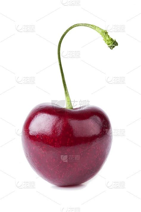 樱桃孤立素材 花瓣网