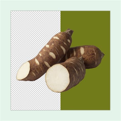 Yam Root Vegetable Sweet Potato Isolated Fresh Few Of Yam Illustration