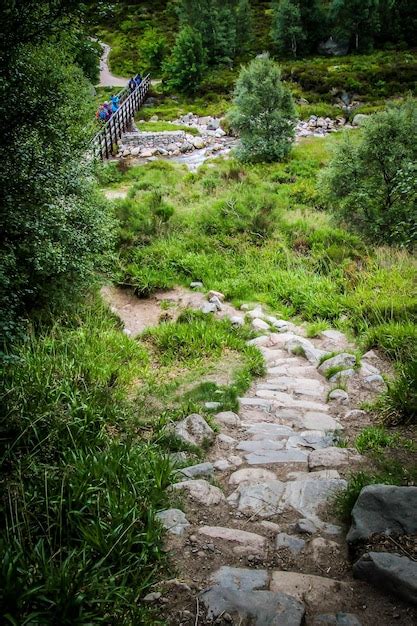 Premium Photo Footpath Amidst Grass And Trees