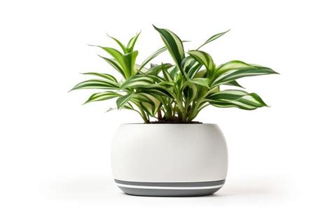 Premium Ai Image Smart Planter Snapshot On White Background