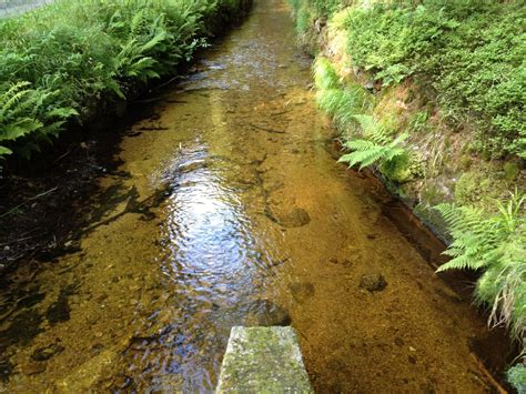 Rossbach Tip Na Výlet Vyletnik Cz