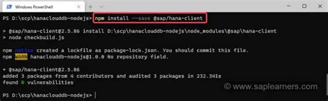 How To Connect SAP HANA Cloud Database Using Node Js