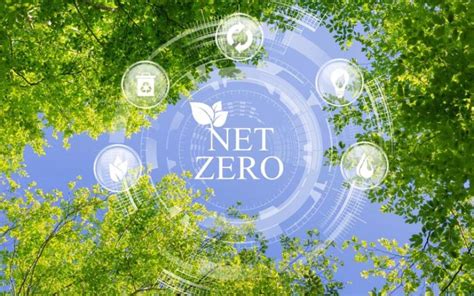 Net Zero Là Gì Mục Tiêu Phát Thải Ròng Bằng 0 Năm 2050 Kamereo