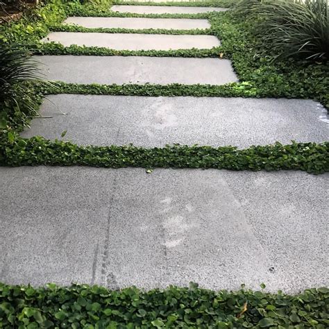 20 Likes 1 Comments Garden Society Gardensociety On Instagram