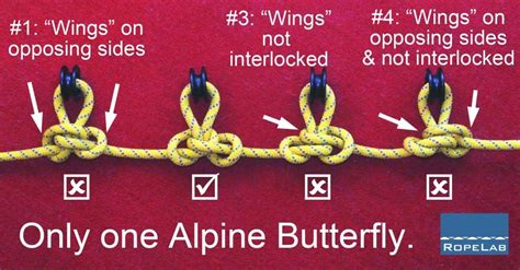 Rethreaded Alpine Butterfly Knot Tutorial Double Alpine Butterfly
