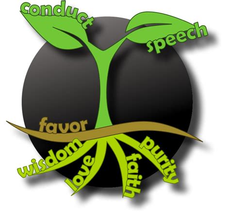 The 7 Essentials Our 100 Years