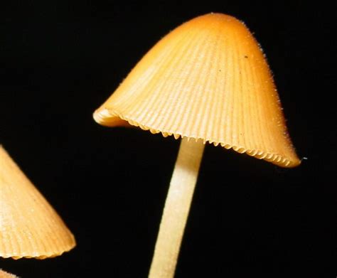 Pictures From Hugh Smith