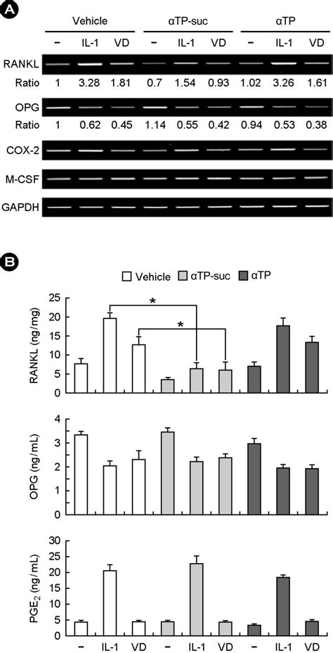 Effects Of Alpha Tocopheryl Succinate αtp Suc On Interleukin 1 Download Scientific Diagram