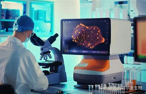 Cell Metric细胞成像分析仪构建单克隆细胞系的应用 知乎