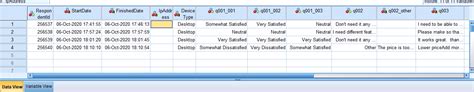 SPSS Surveys