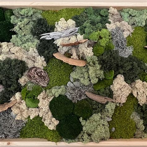 Framed Moss Wall Rectangle The Botaness